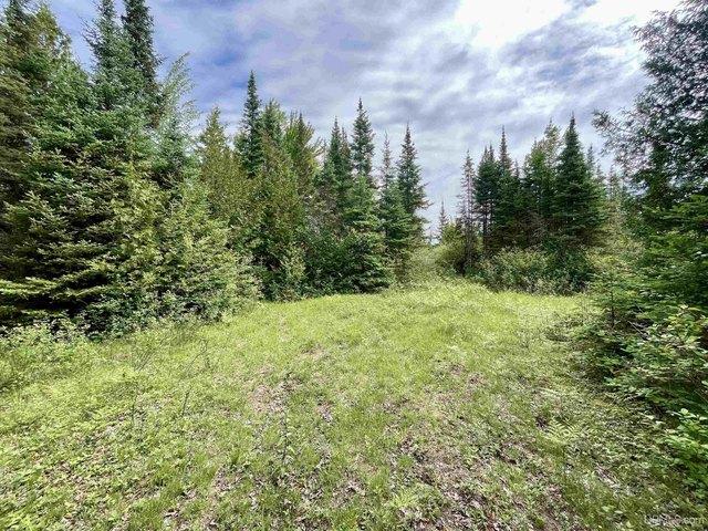 9th Ln, Bark River, MI 49807