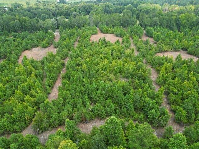 03 County Road 1174, Goshen, AL 36035