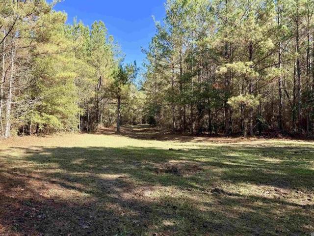 03 LA Highway 1047, Amite, LA 70442
