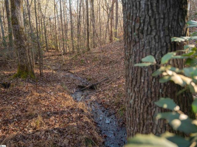 03 Mill Pine Road