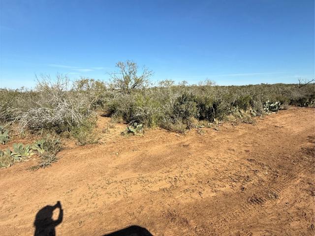 0005 County Road 300
