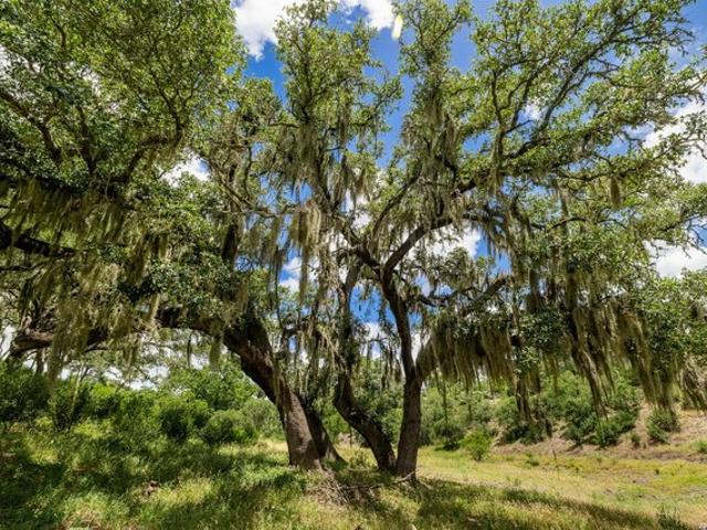0007 Hidden Springs Rnch Lot 7, Spring Branch, TX 78070