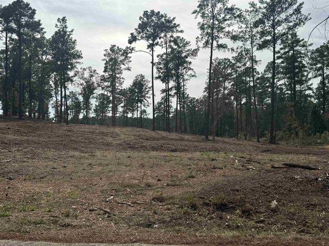 000896 County Road 219, Brookeland, TX 75931