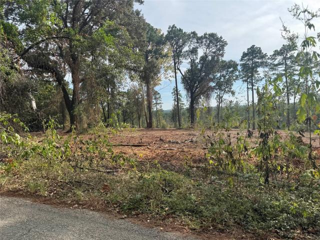 000896 County Road 219