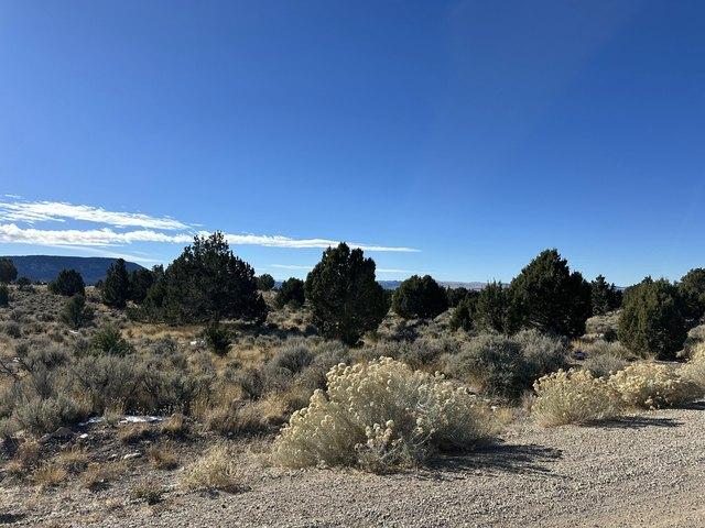 0009 Parcel 01 0248, Beaver, UT 84713