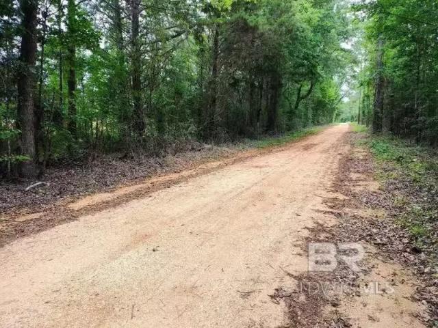 0000000 COUNTY ROAD 69, COFFEEVILLE, AL 36524 Vacant Land For.