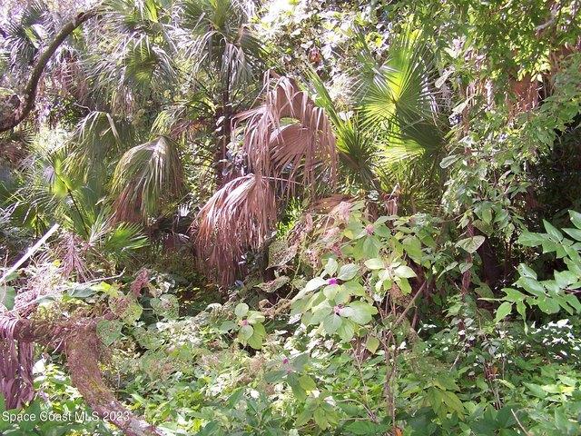 000000, Cocoa, FL 32926