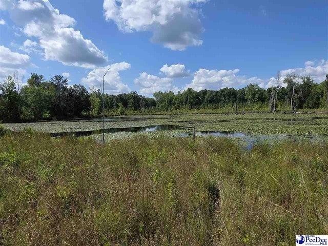 000000 Hillian Edwards Rd, Cheraw, SC 29520