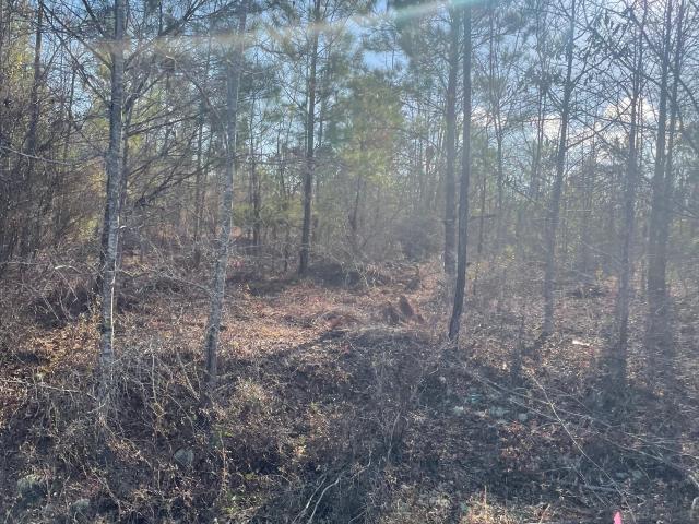 0 Rock Springs Road