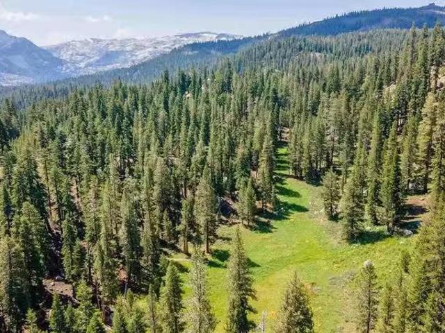 00000 Eagle Meadow, Strawberry, CA 95375 650299653