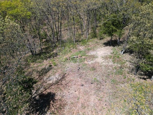 00000 Millwood Road