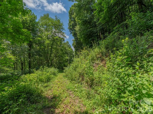 00000 Rough Knob Road