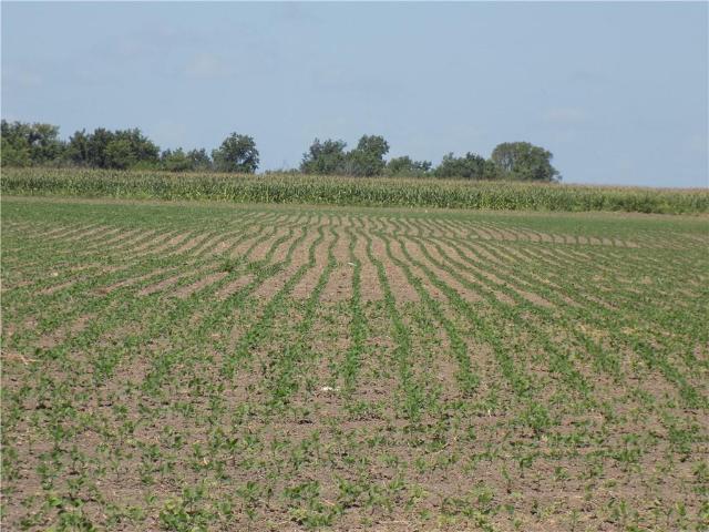 00000 SE 900 Road