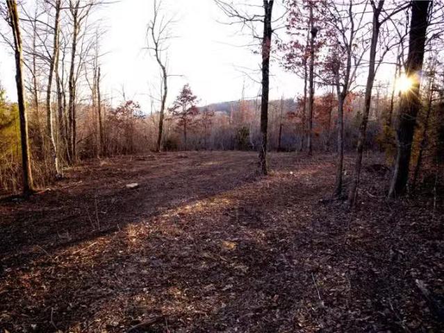 0000 MADISON 5540, COMBS, AR 72721 Vacant Land For Sale MLS#.