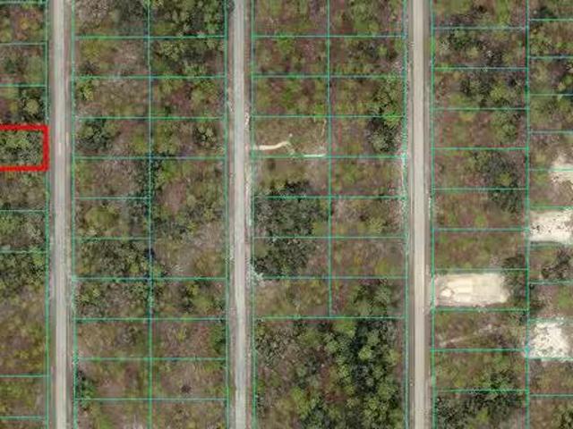 0000 NW TREETOP ROAD # 007, DUNNELLON, FL 34431 Vacant Land Fo.