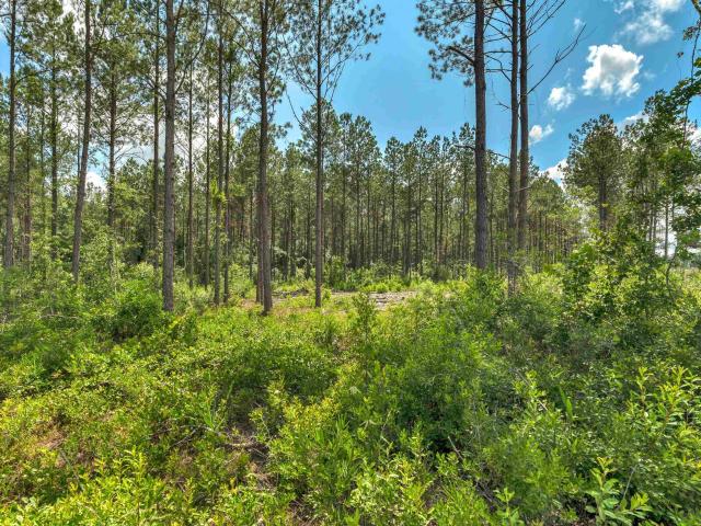 0000 N Brewington Road Lot 10