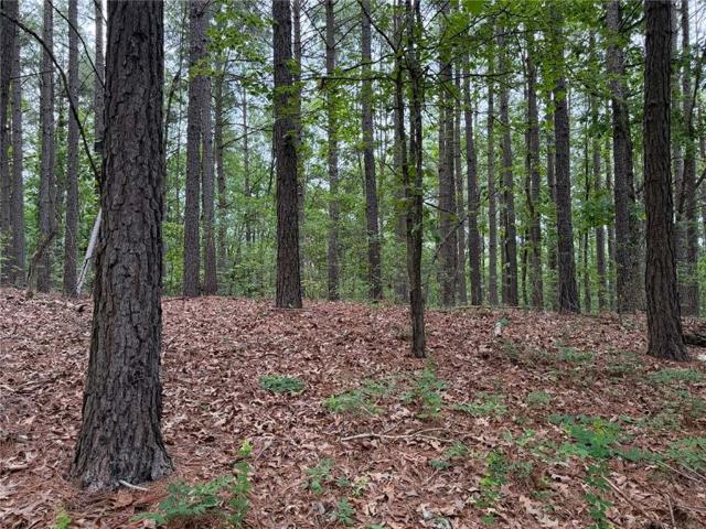 0000 NC 3920 Road