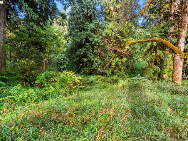 0000 NE Cedar Creek RD