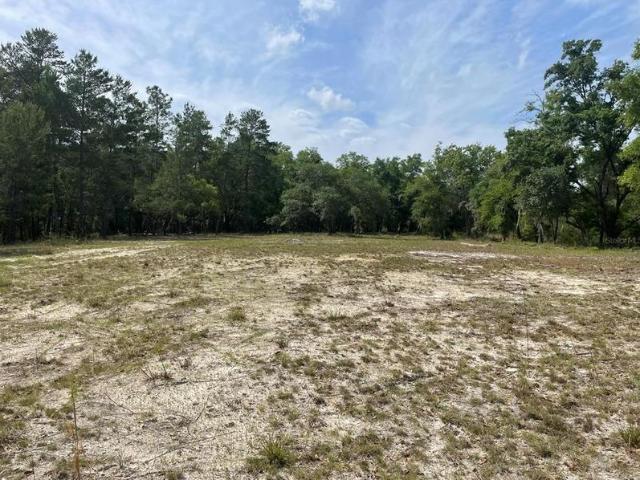 0000 NE 40th St, Williston, FL 32696 MLS GC521073