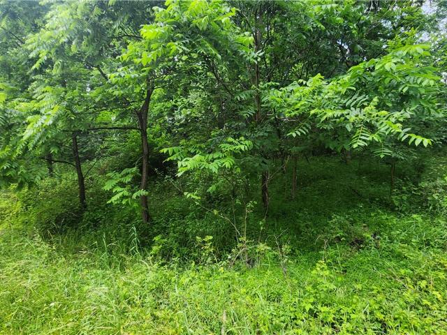 0000 Novinger Road