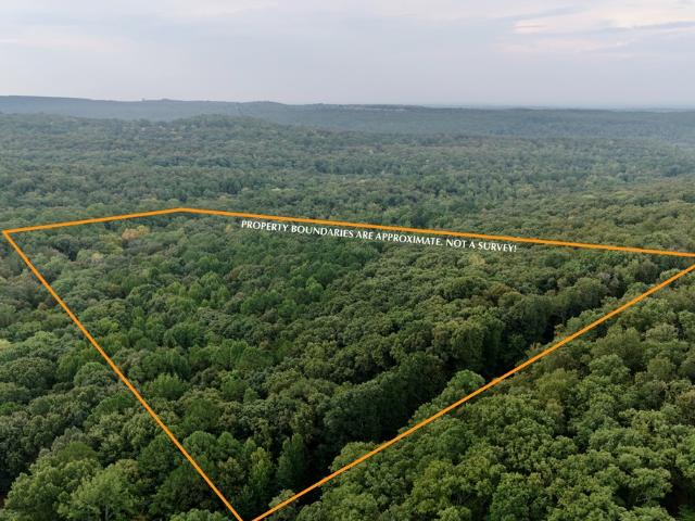 0000 Ozark Point Tract 1