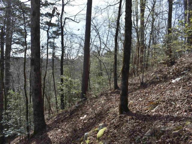 0000 Old Dallas Road