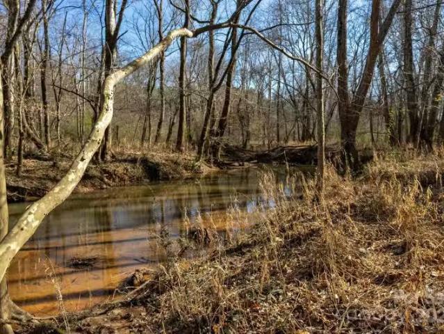 0000 Old Douglass Rd #7, Blackstock, SC 29014 MLS 4209712