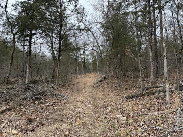 0000 Buck Ridge Lane