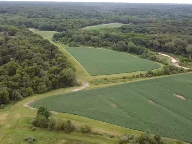 0000 Buffalo Trail
