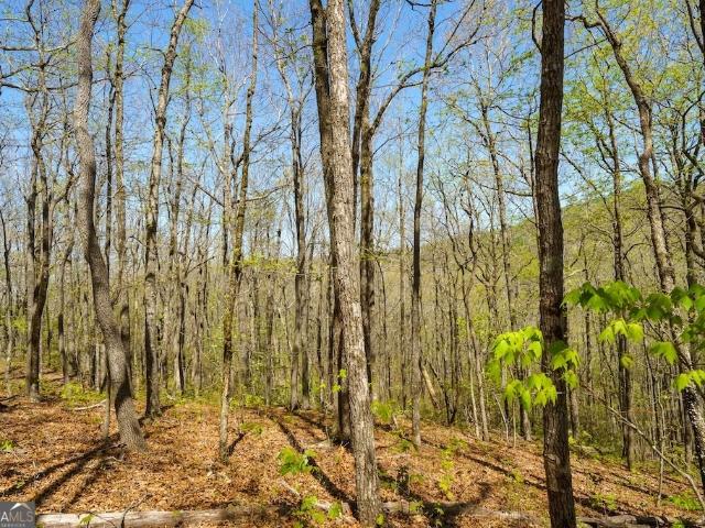 0 Burnt Mountain Road