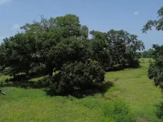 0000 Bailey Grove, Montgomery, TX 77356 MLS 36310485