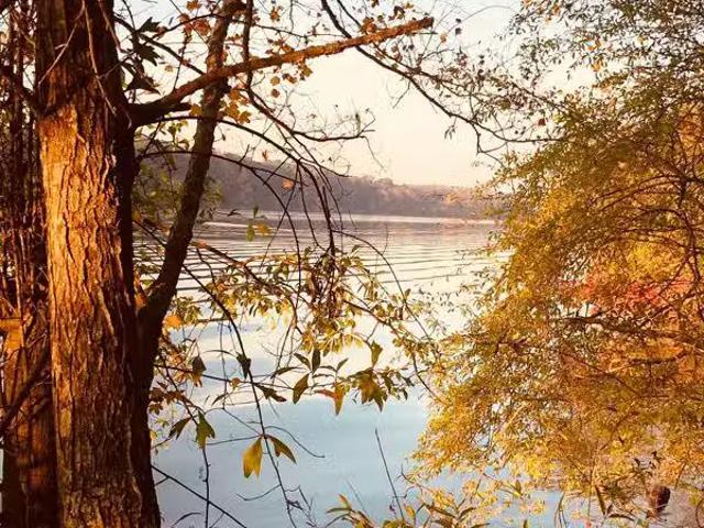 0000 COSPER BEND ROAD # 7 PARCELS, CHILDERSBURG, AL 35044 Vaca.