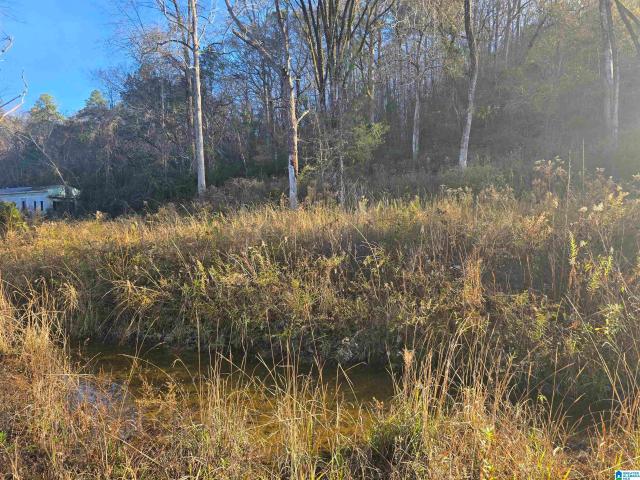 0000 County Road 110 # 1