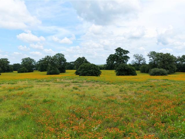 0000 County Road 119