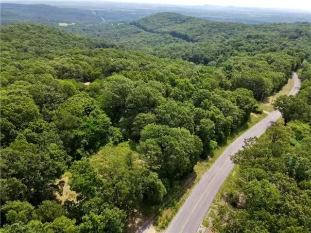 0000 COUNTY ROAD 207, EUREKA SPRINGS, AR 72632