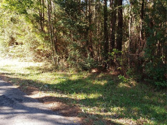 0000 County Road 2097