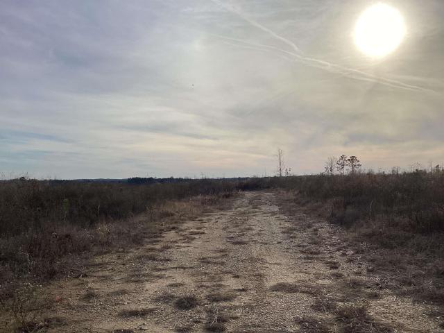 0000 Davidson Campground Road