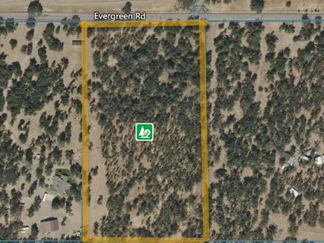 0000 Evergreen Drive