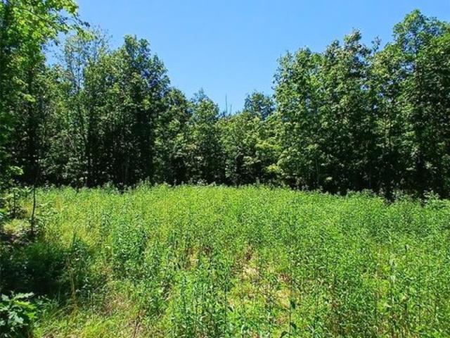0000 Easement, Annapolis, MO 63620