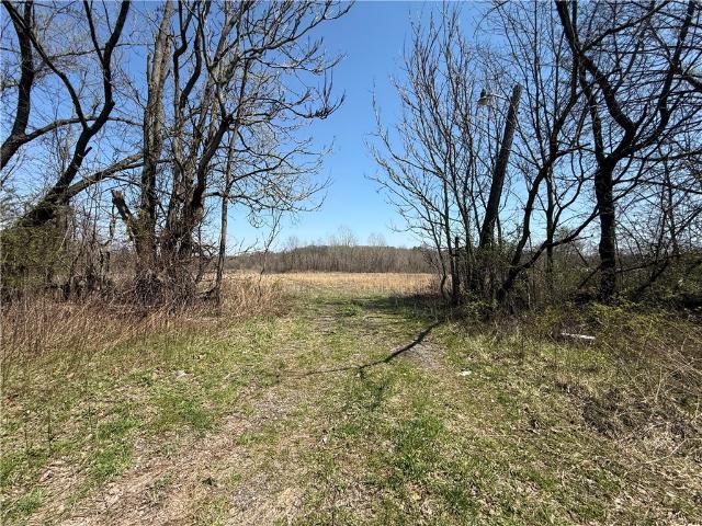 0000 Ellwood Rd