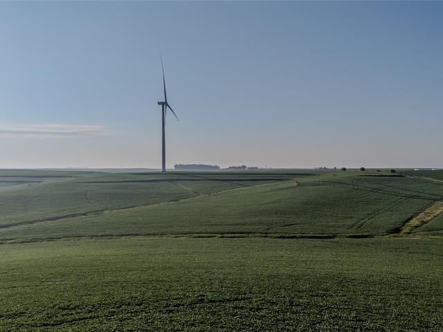 0000 Falcon Avenue