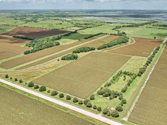 0000 Fm 1462 Road