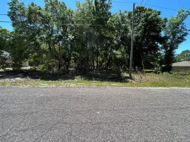 0000 Guava Terrace #4, Ocklawaha, FL 32179 MLS S5106756