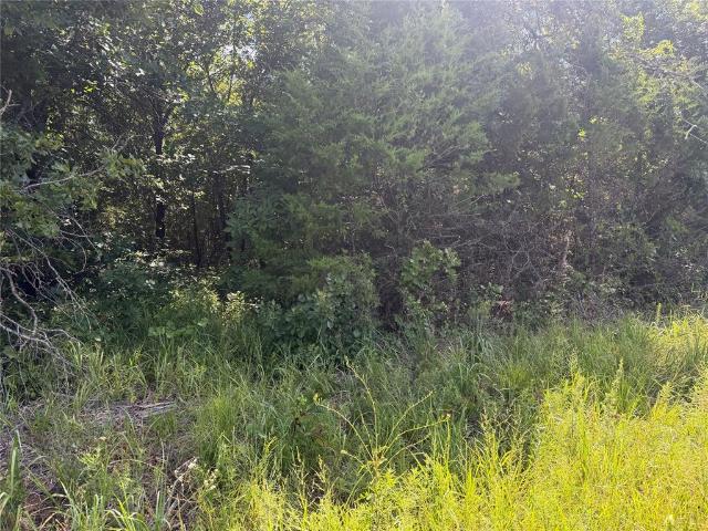 0000 Greentree Drive