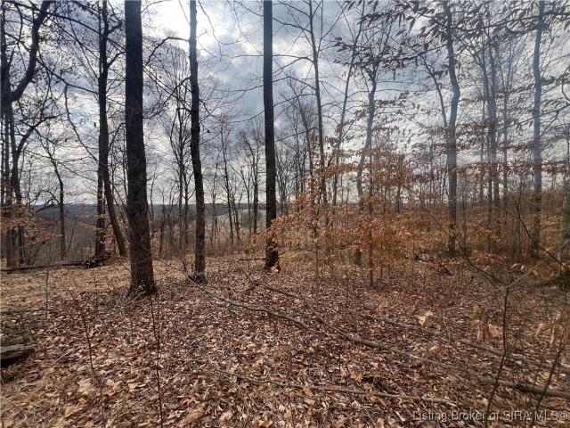 0000 Hwy 135 Tract 3