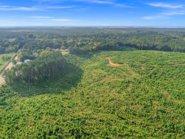 0000 Hwy 215 Lot 2