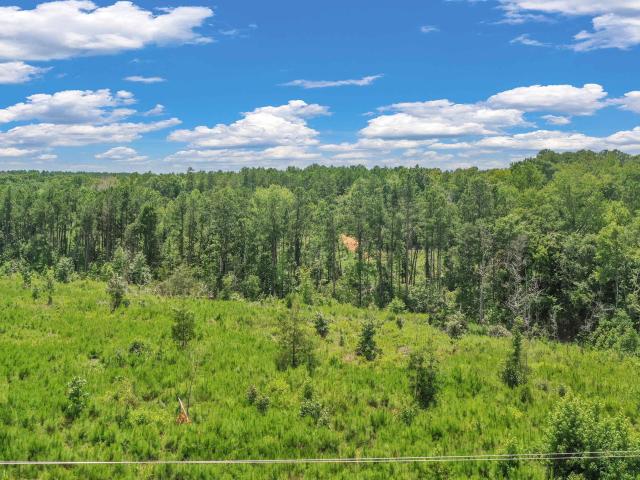0000 Hwy 215 Lot 5
