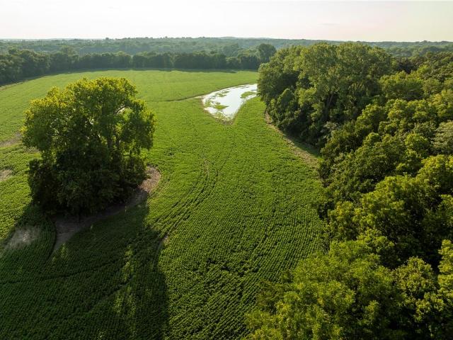 0000 Hatchell Road