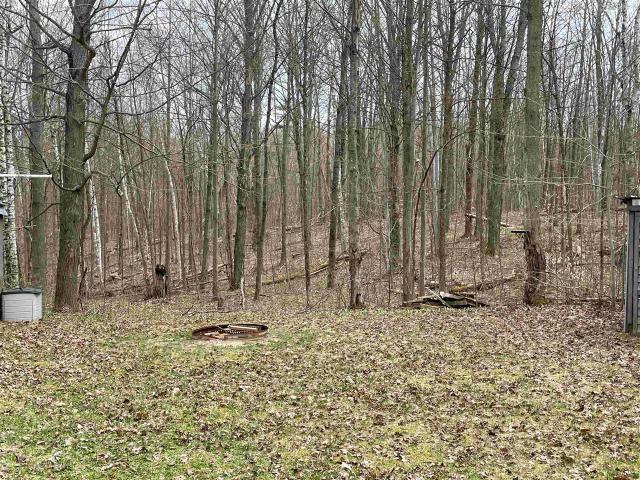 0000 ironwood