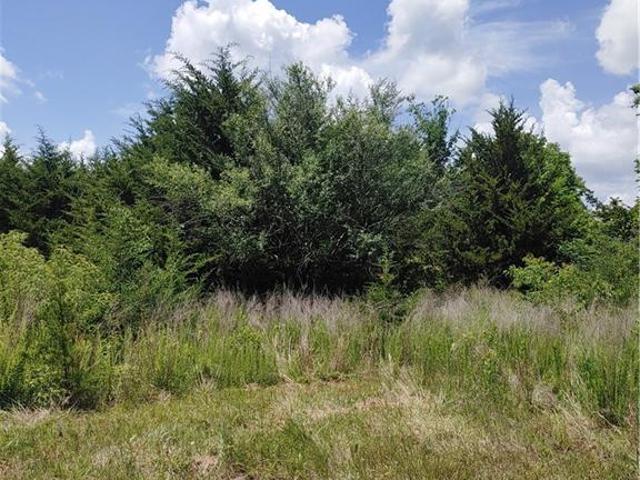 0000 KIOWA Road